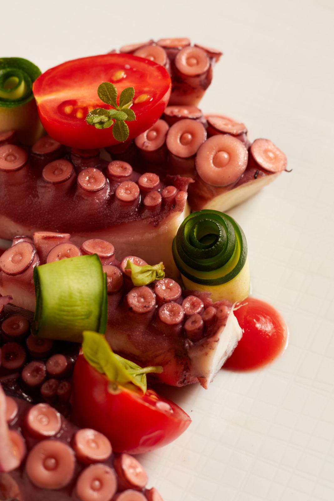 Differenza tra Polpo, Polipo e Piovra - LA FORTEZZA Ristorante di pesce ... Differenza tra Polpo, Polipo e Piovra - LA FORTEZZA Ristorante di pesce ...