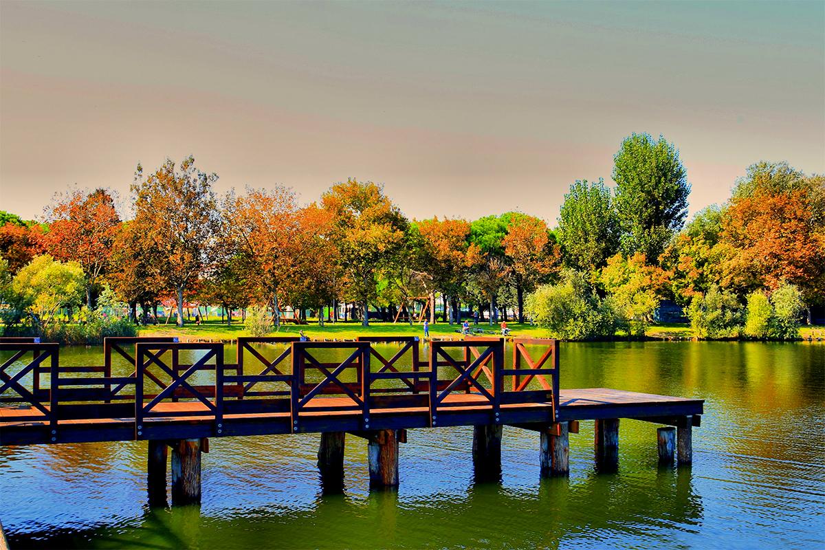 Scoprire Bellaria Igea Marina - LA FORTEZZA Ristorante di pesce a Rimini