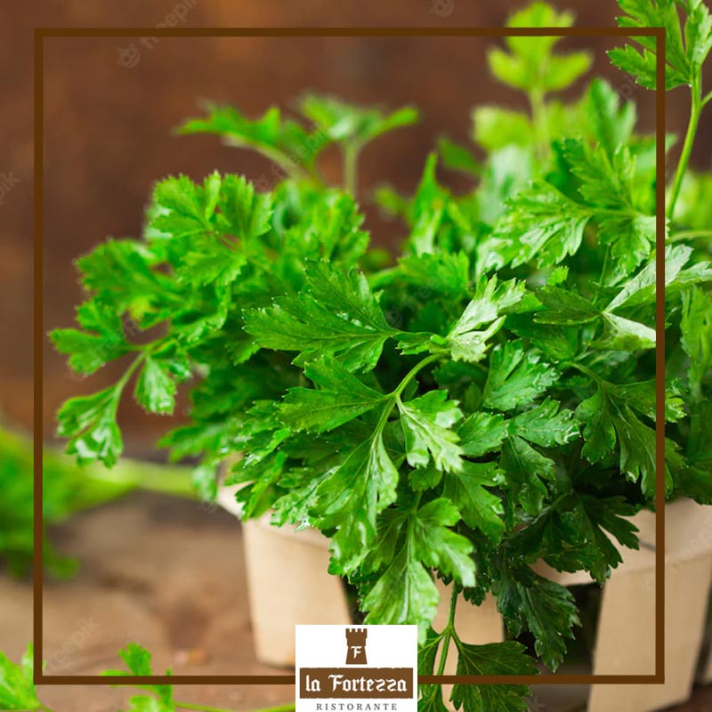 Il prezzemolo in cucina: curiosità ed informazioni - LA FORTEZZA ...