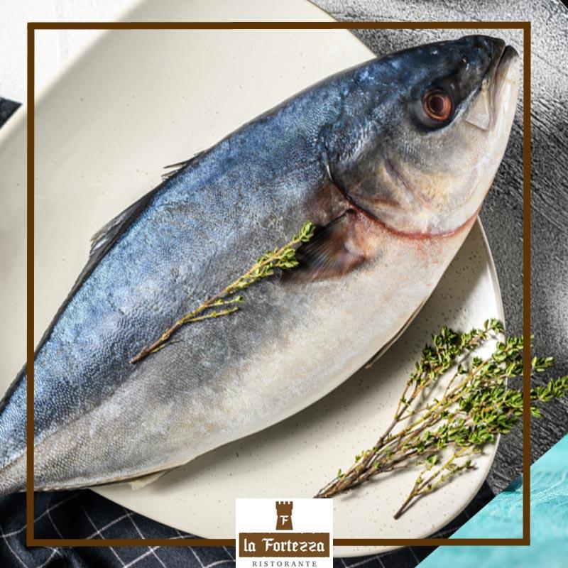 Ricciola: caratteristiche e proprietà - LA FORTEZZA Ristorante di pesce ...